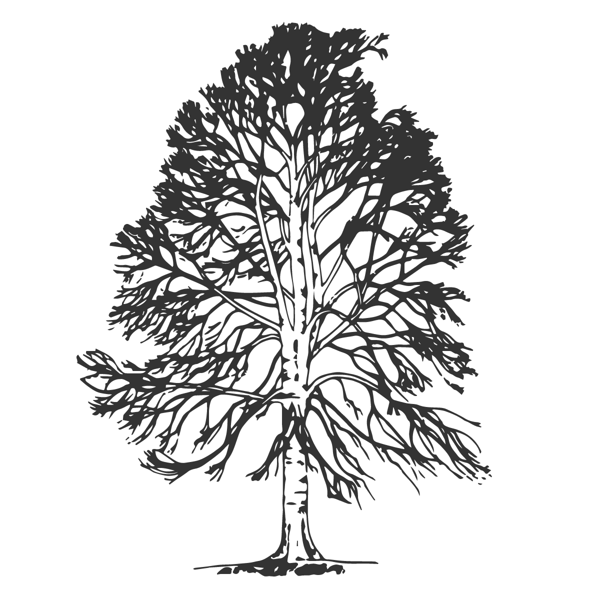 Admissions Bottisham Primary Community School Admissions Bottisham Primary Community School